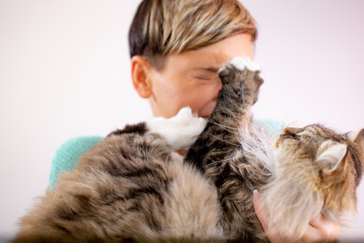 Kan jy siek word as jou kat jou krap? | rooi rose