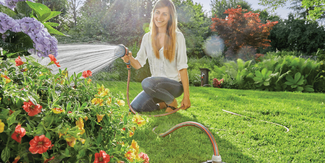 ’n Gerieflike manier om jou tuin nat te maak | rooi rose